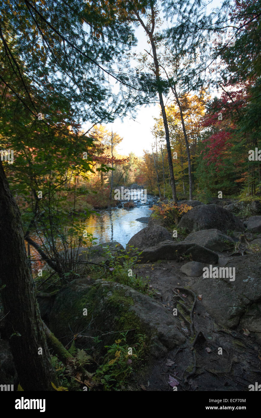Nature, woods and river in the Fall Stock Photo - Alamy