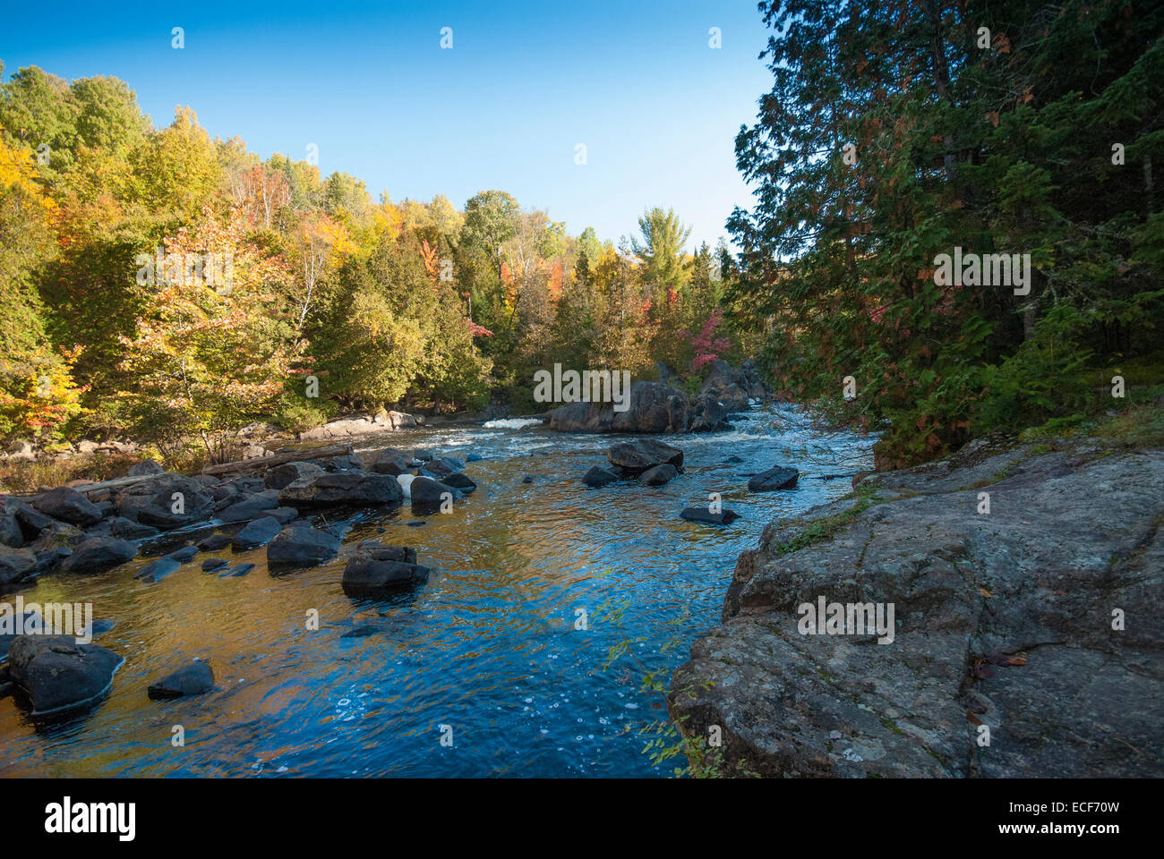 Nature, woods and river in the Fall Stock Photo - Alamy