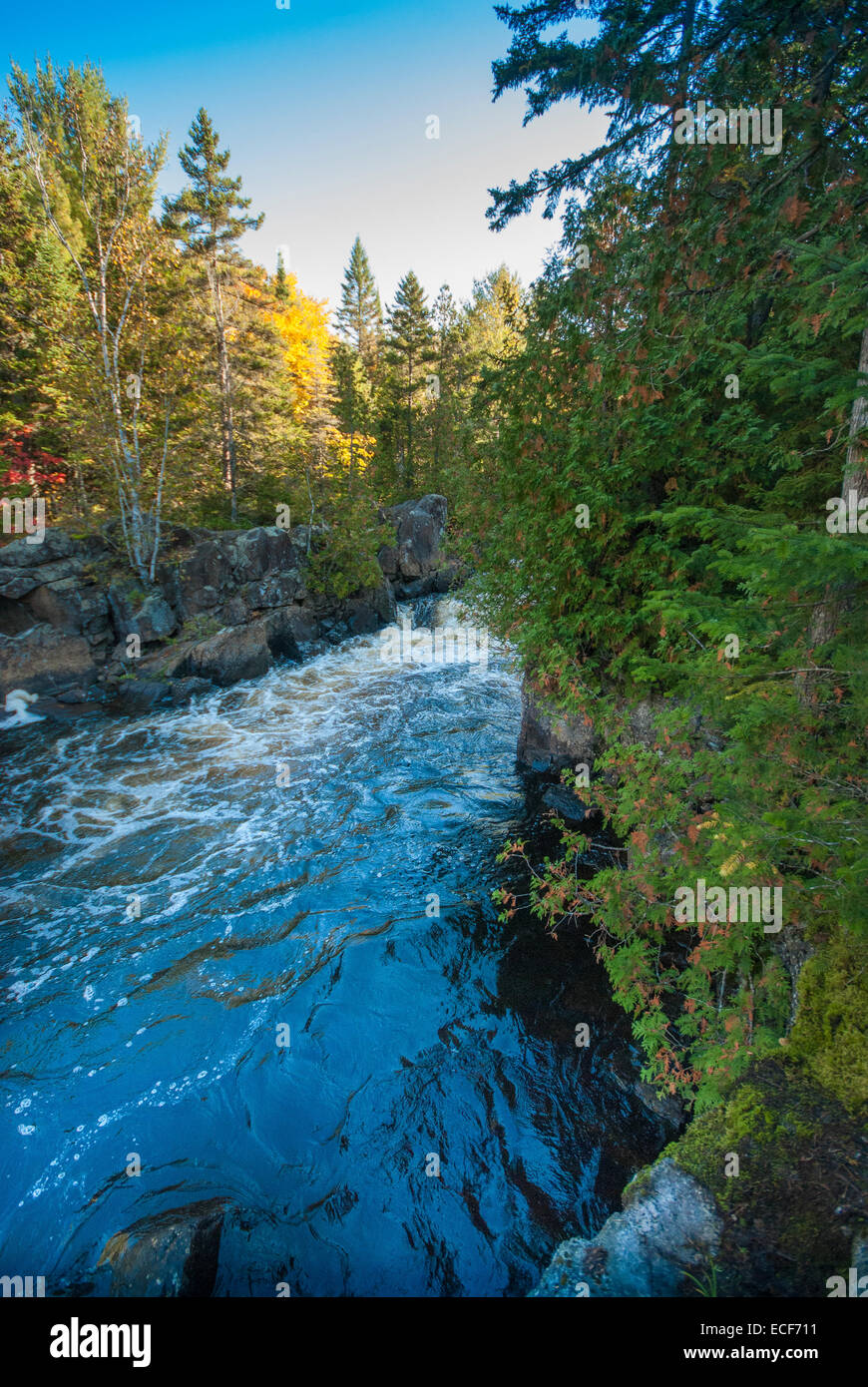 Nature, woods and river in the Fall Stock Photo - Alamy