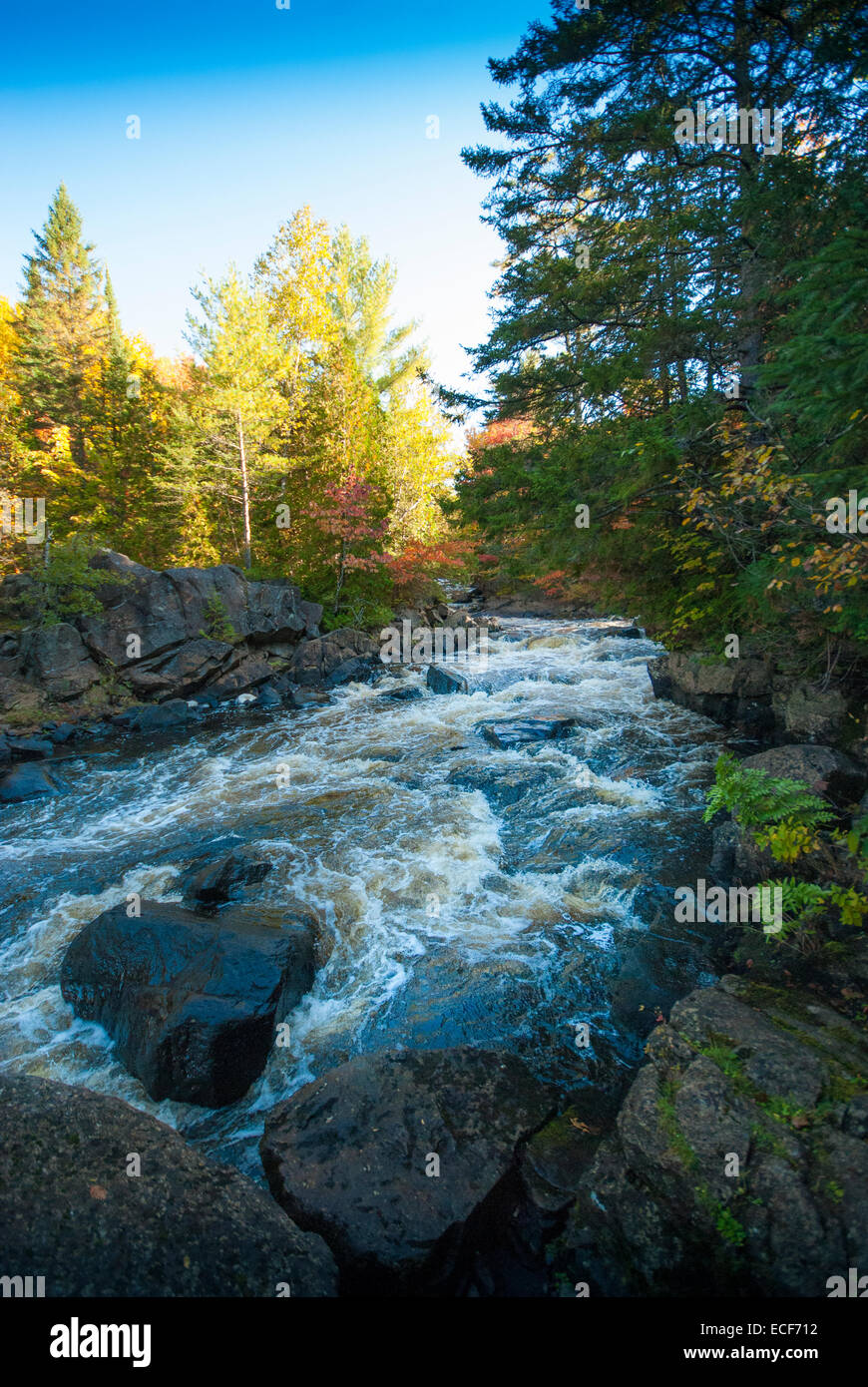 Nature, woods and river in the Fall Stock Photo - Alamy