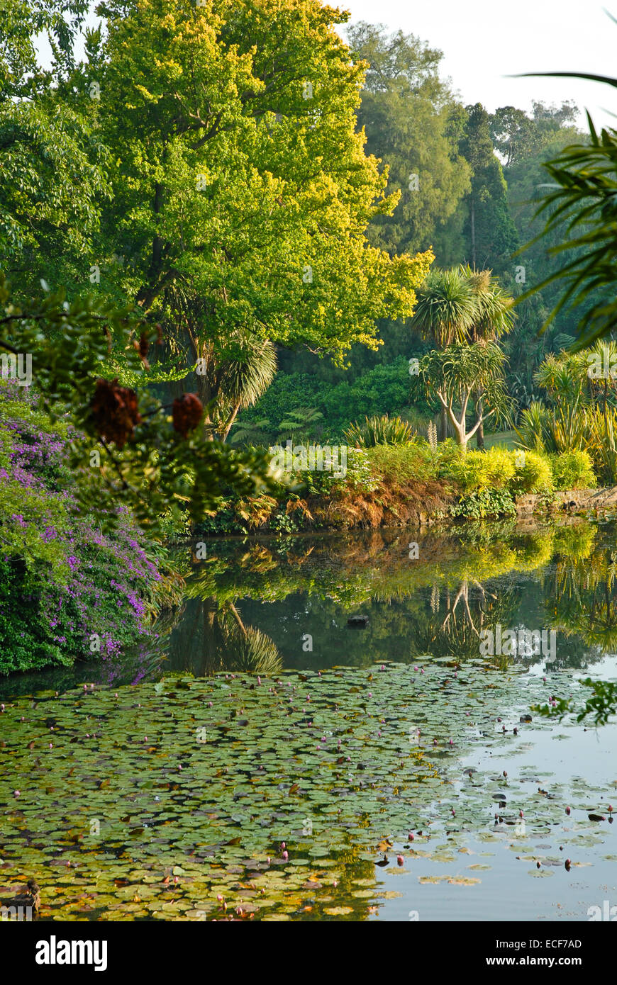 The Royal Botanic Gardens Melbourne,internationally renowned botanical ...