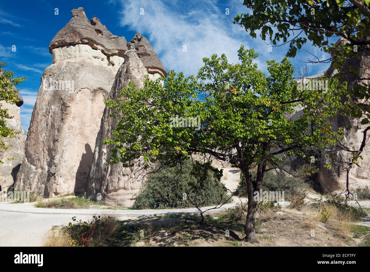 Fairy Chimneys Monks Valley Cappadocia High Resolution Stock ...