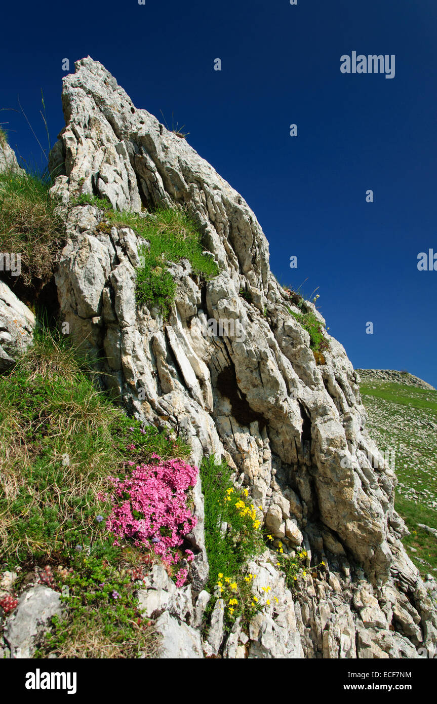 Blue sky in french alps hi-res stock photography and images - Alamy
