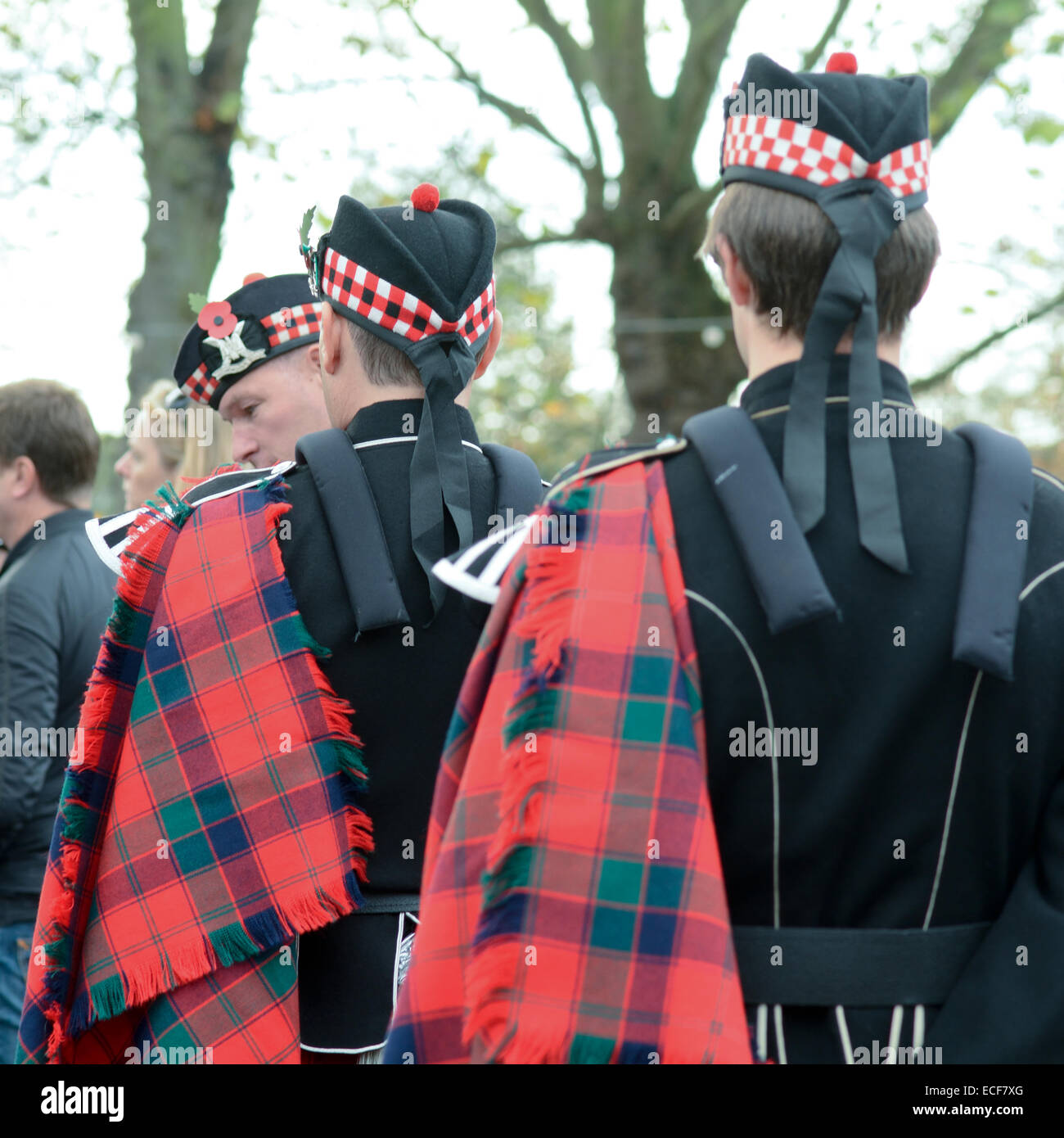 Remembrance Day Parade Scottish Marching Stock Photos & Remembrance Day ...