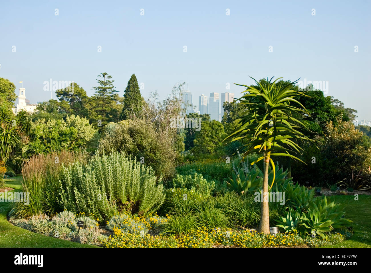 Cranbourne have a focus solely on australian native plants hi-res stock ...