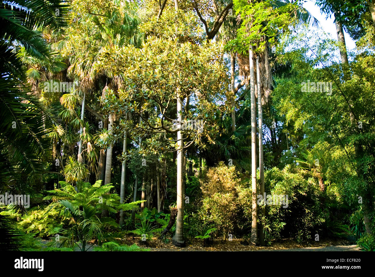 The Royal Botanic Gardens Melbourne,internationally renowned botanical ...