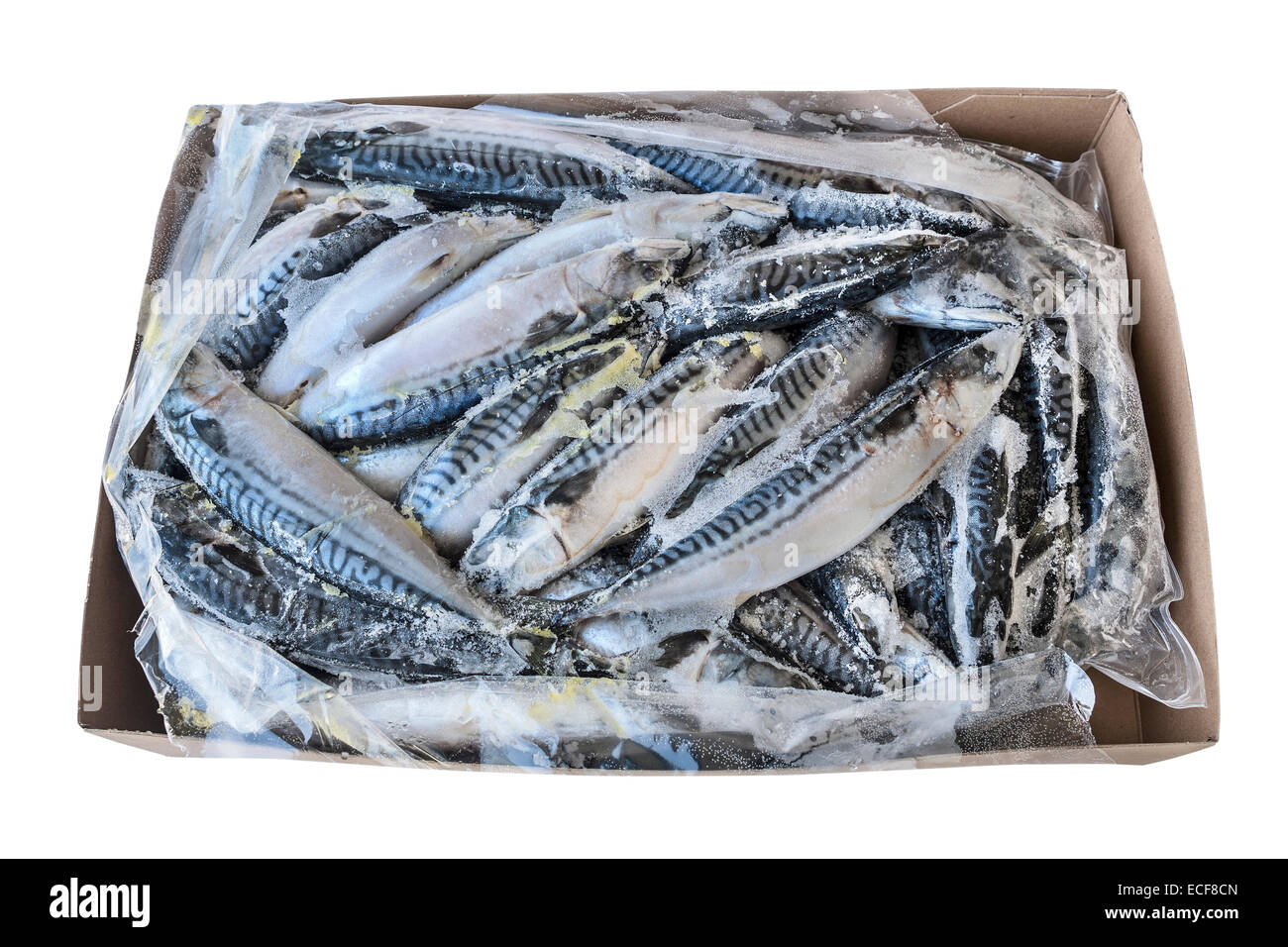 several slices of frozen fish Stock Photo - Alamy