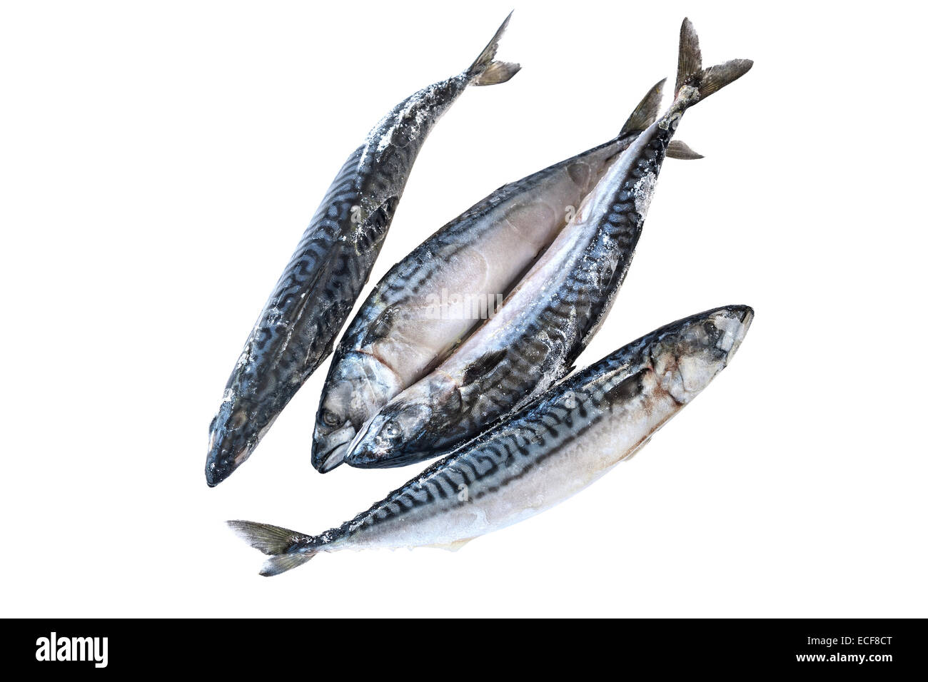 Frozen seafood package Cut Out Stock Images & Pictures - Alamy