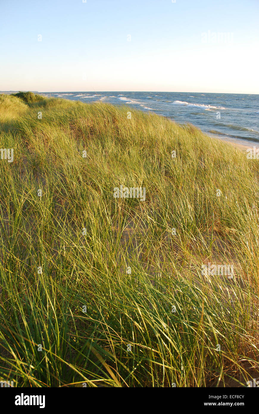 Beach and grass hi-res stock photography and images - Alamy