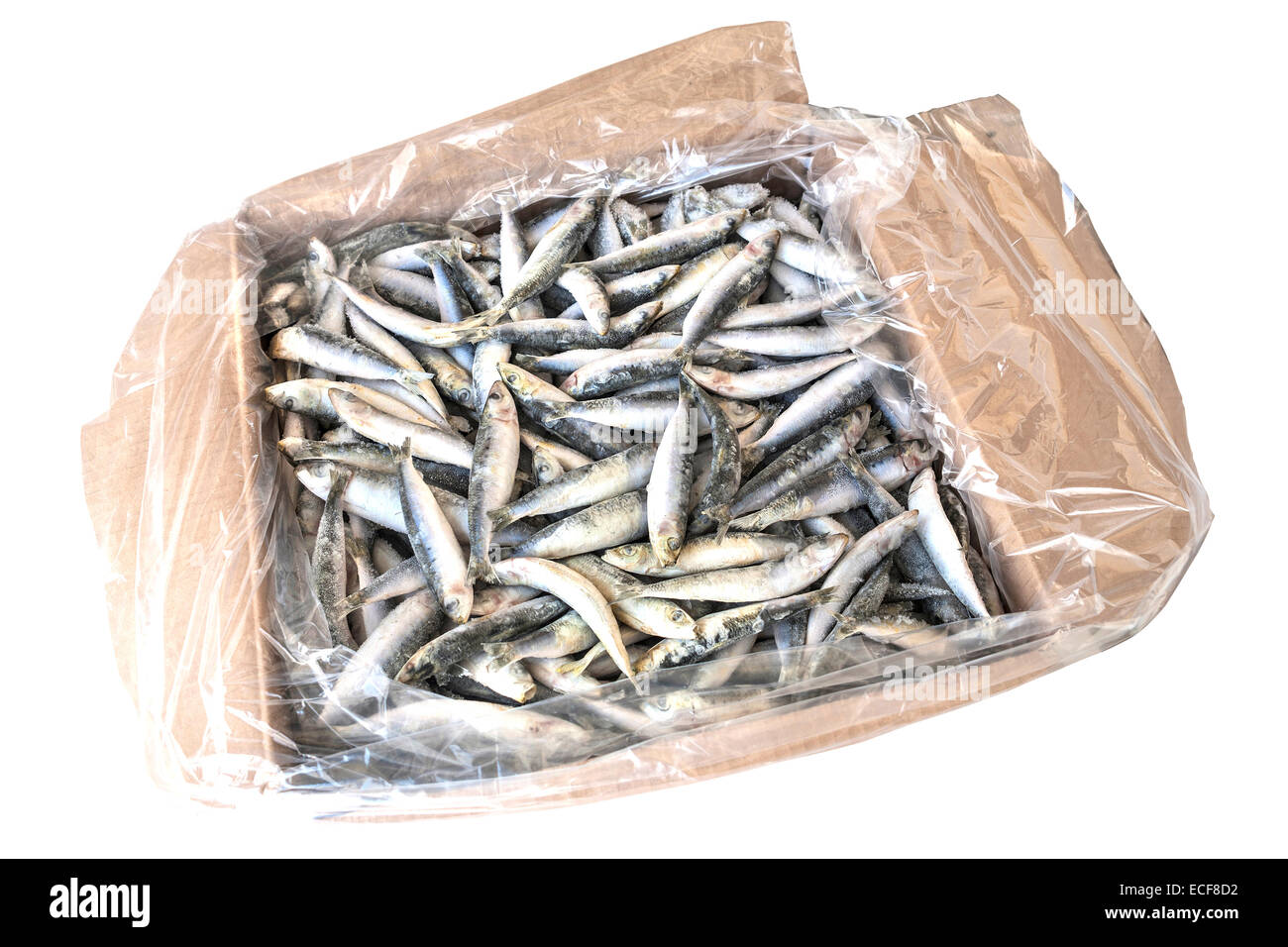 several slices of frozen fish Stock Photo - Alamy