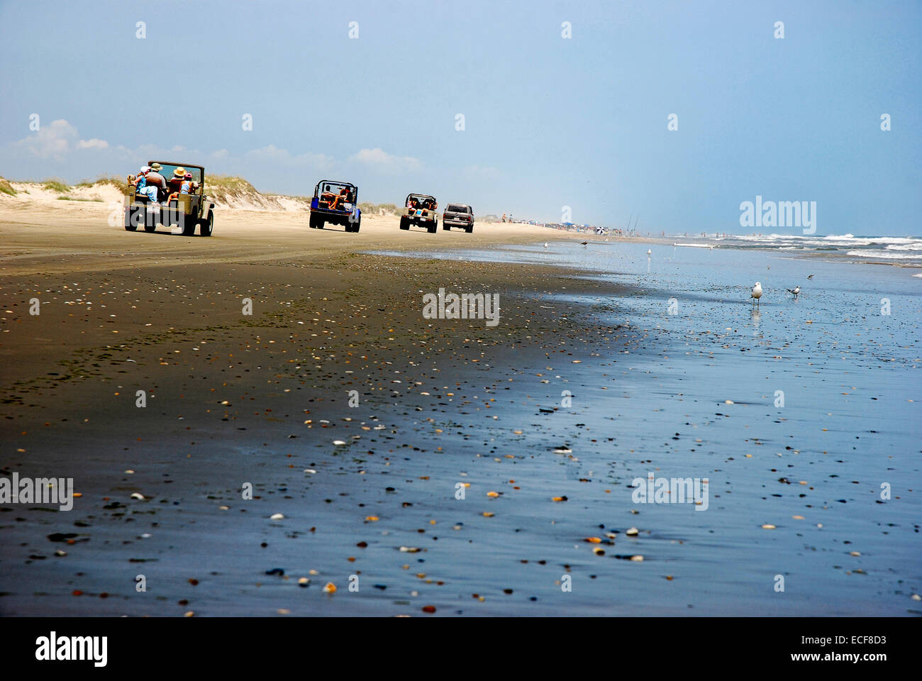 Cars driving on beach Stock Photo - Alamy