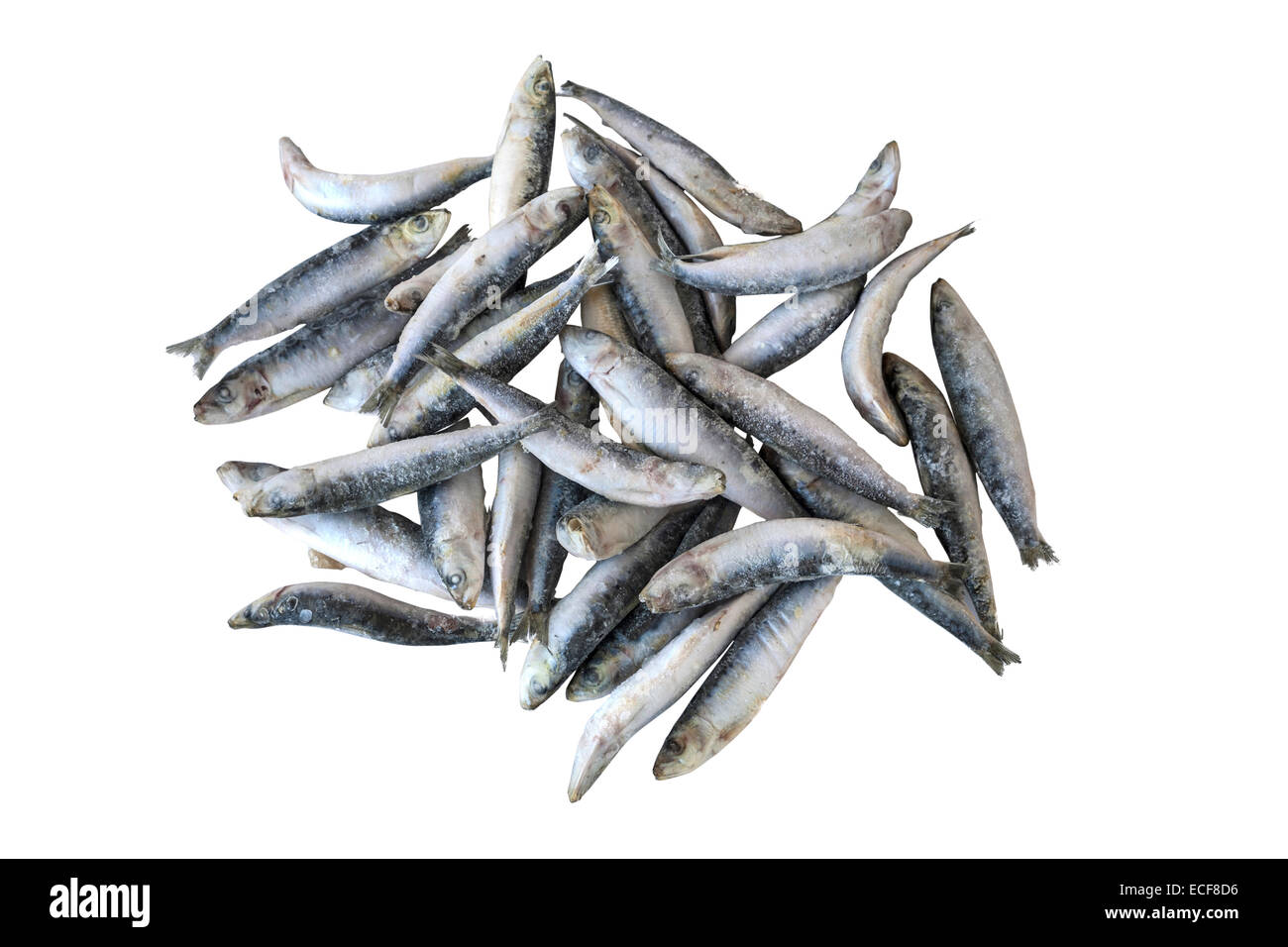 several slices of frozen fish Stock Photo - Alamy