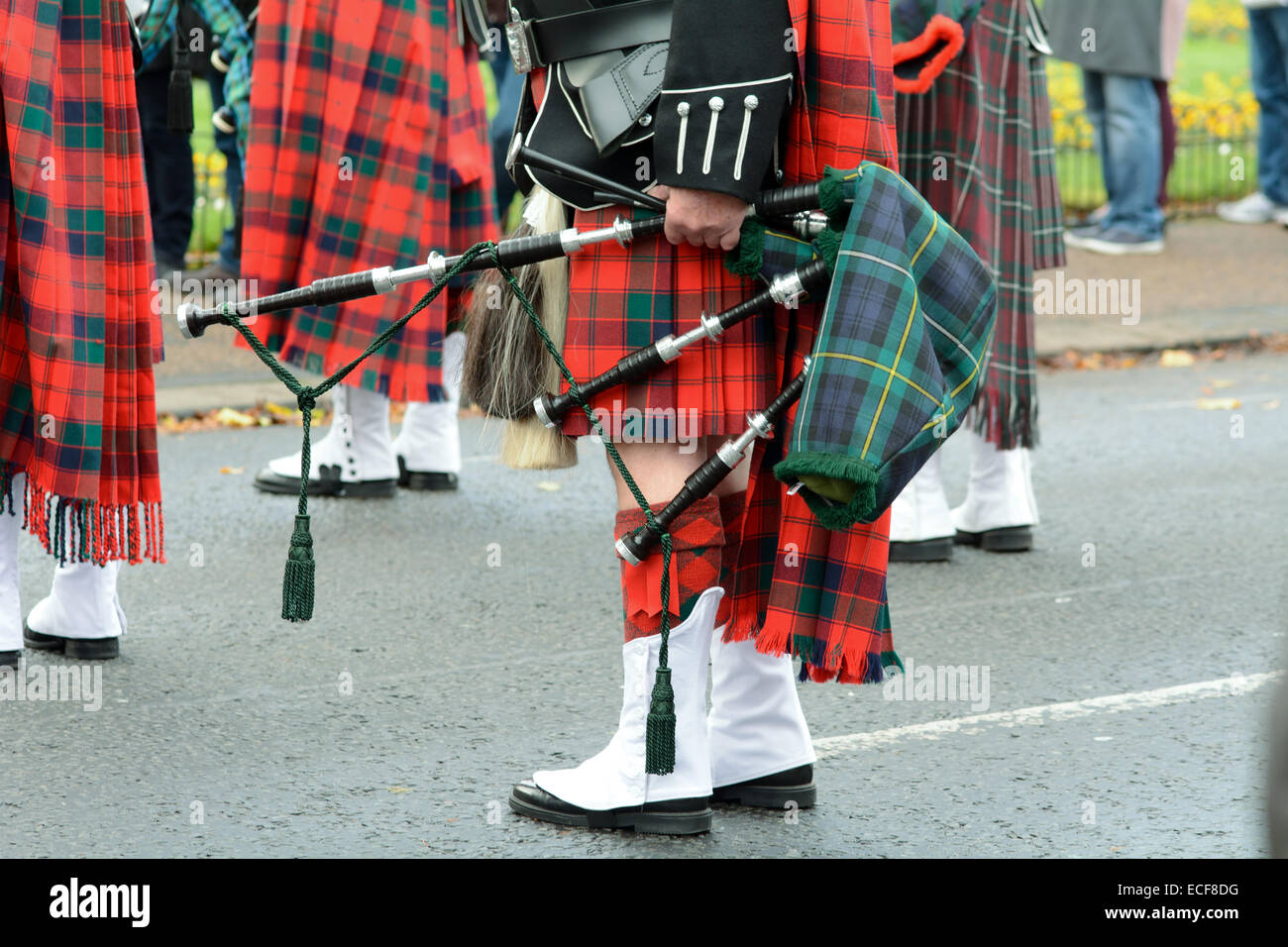 Scottish Marching band piper at Remembrance Day parade Bedford England ...