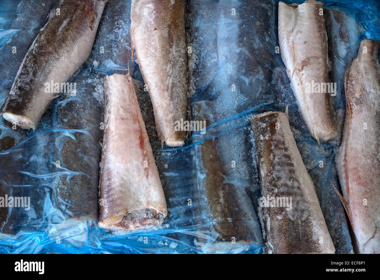 several slices of frozen fish Stock Photo - Alamy