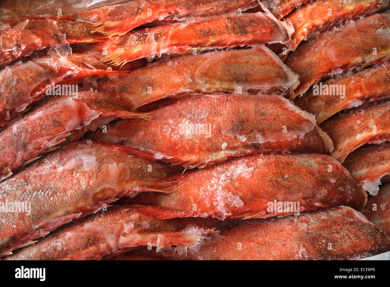 several slices of frozen fish Stock Photo - Alamy