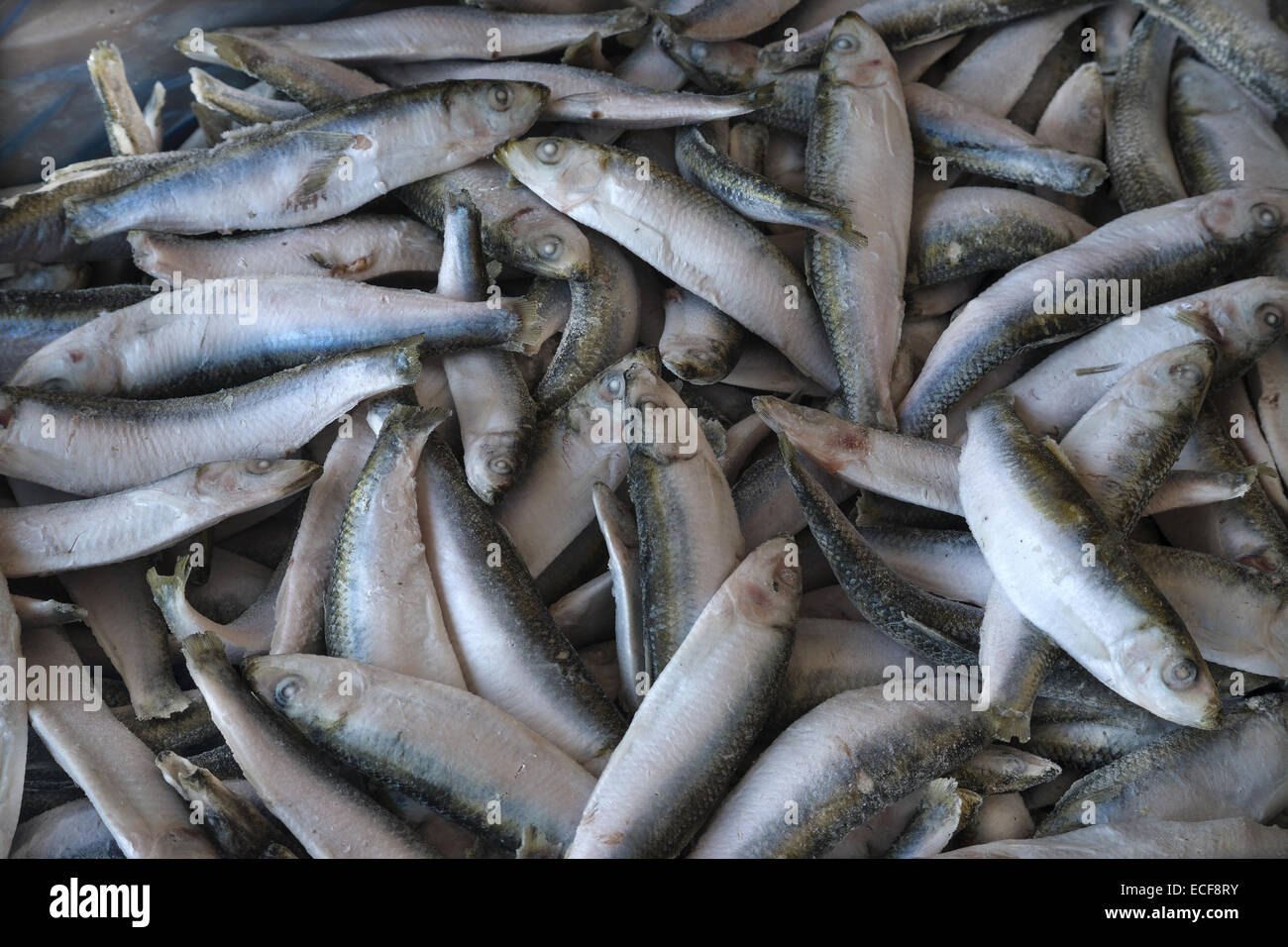 several slices of frozen fish Stock Photo - Alamy