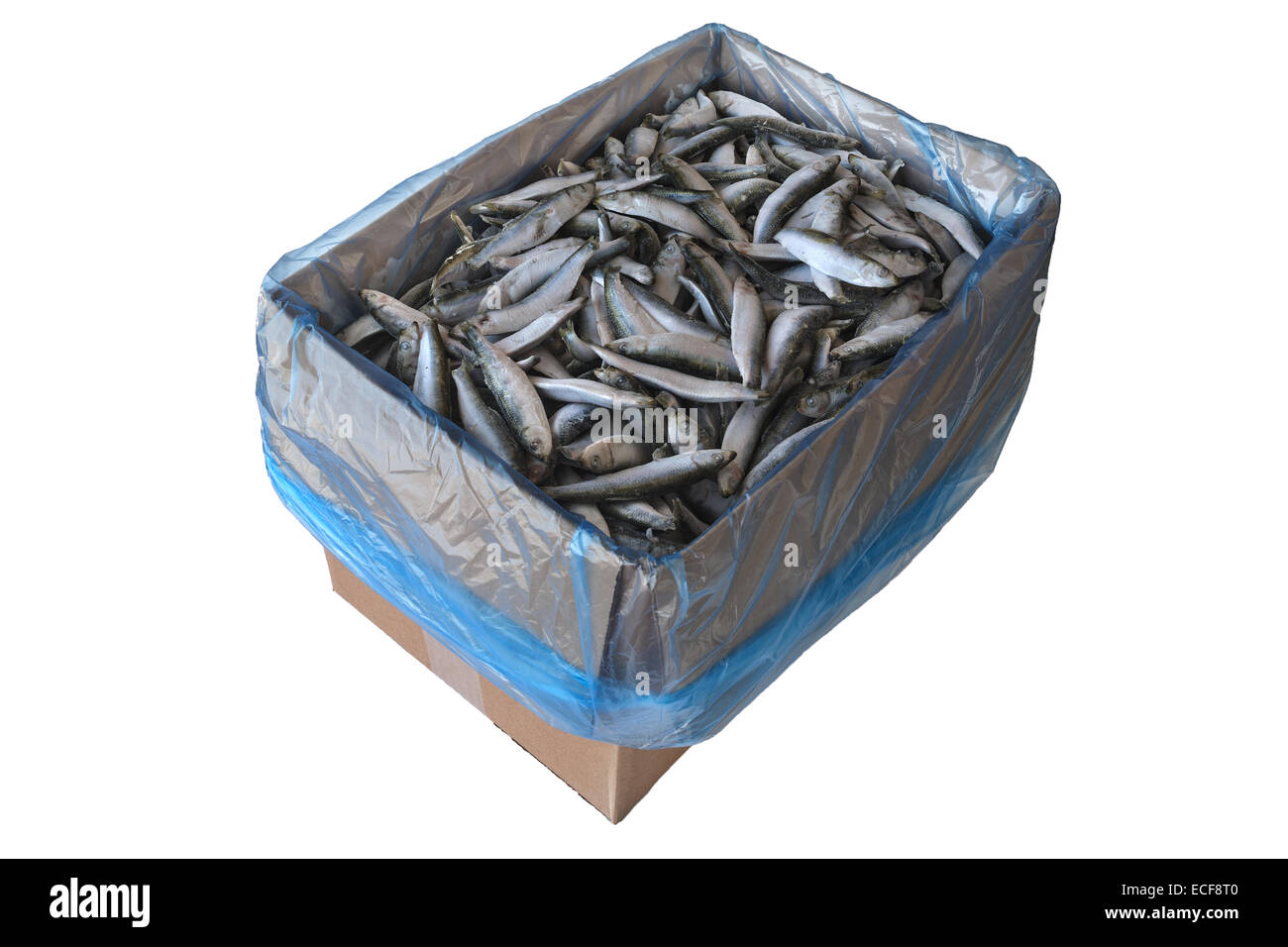 Frozen seafood package Cut Out Stock Images & Pictures - Alamy