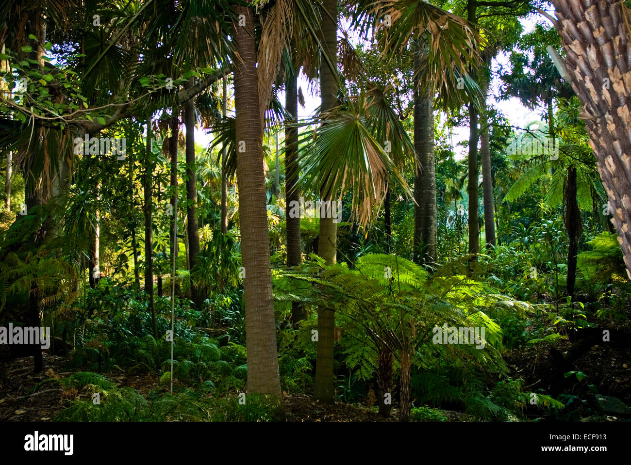 The Royal Botanic Gardens Melbourne,internationally renowned botanical ...