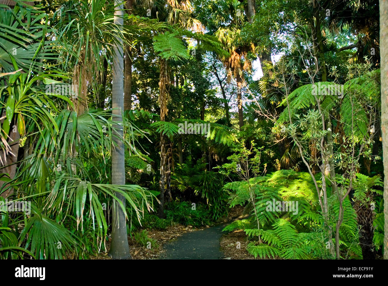 The Royal Botanic Gardens Melbourne,internationally renowned botanical ...