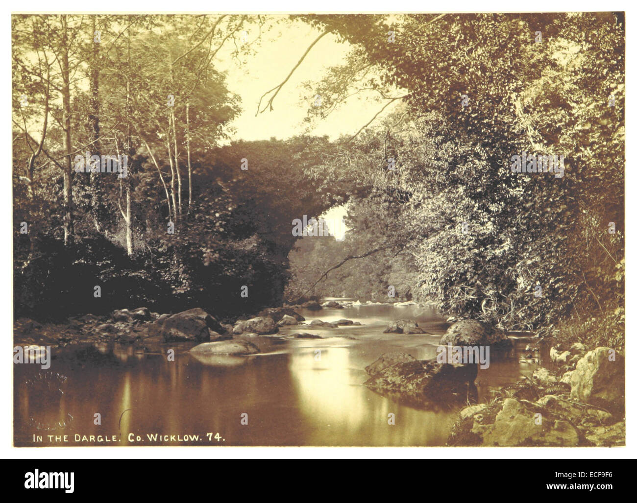 An 1868 illustration from *Ireland*, page 051, depicting the Dargle ...