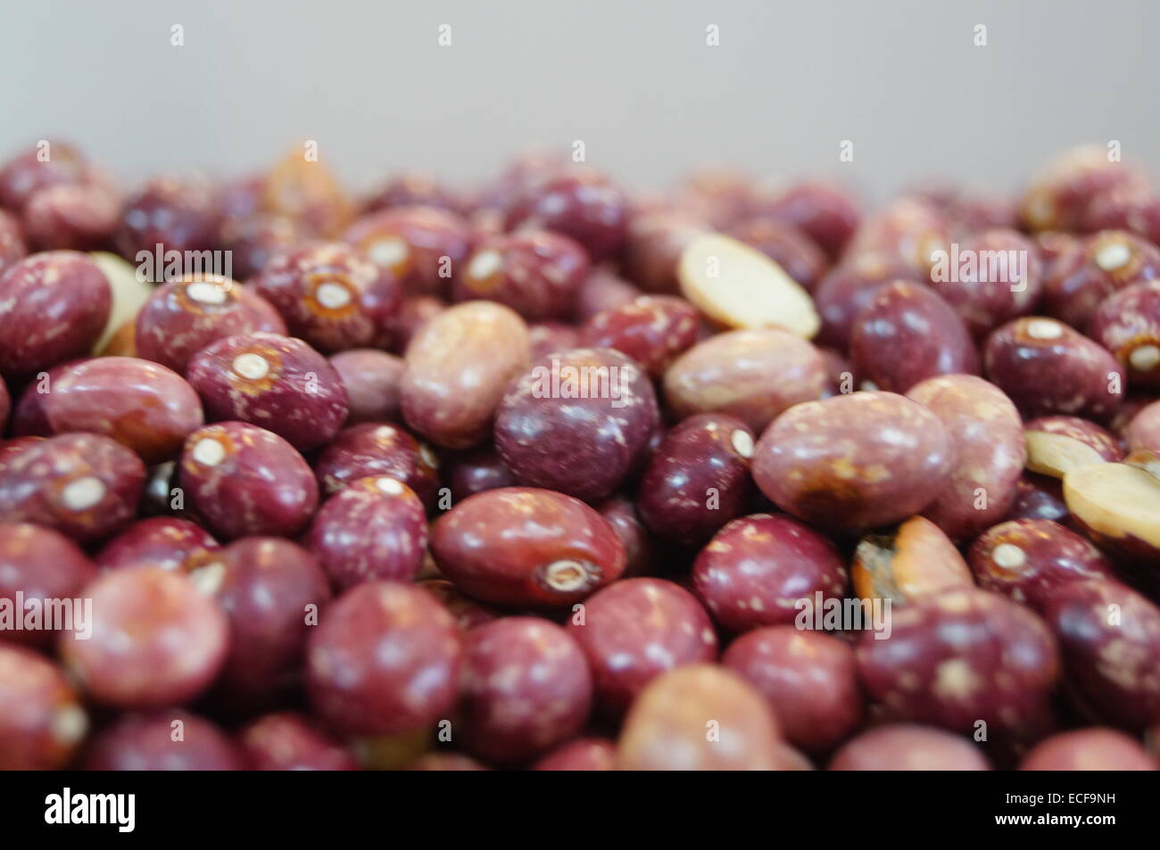 Health care food, beans Stock Photo - Alamy
