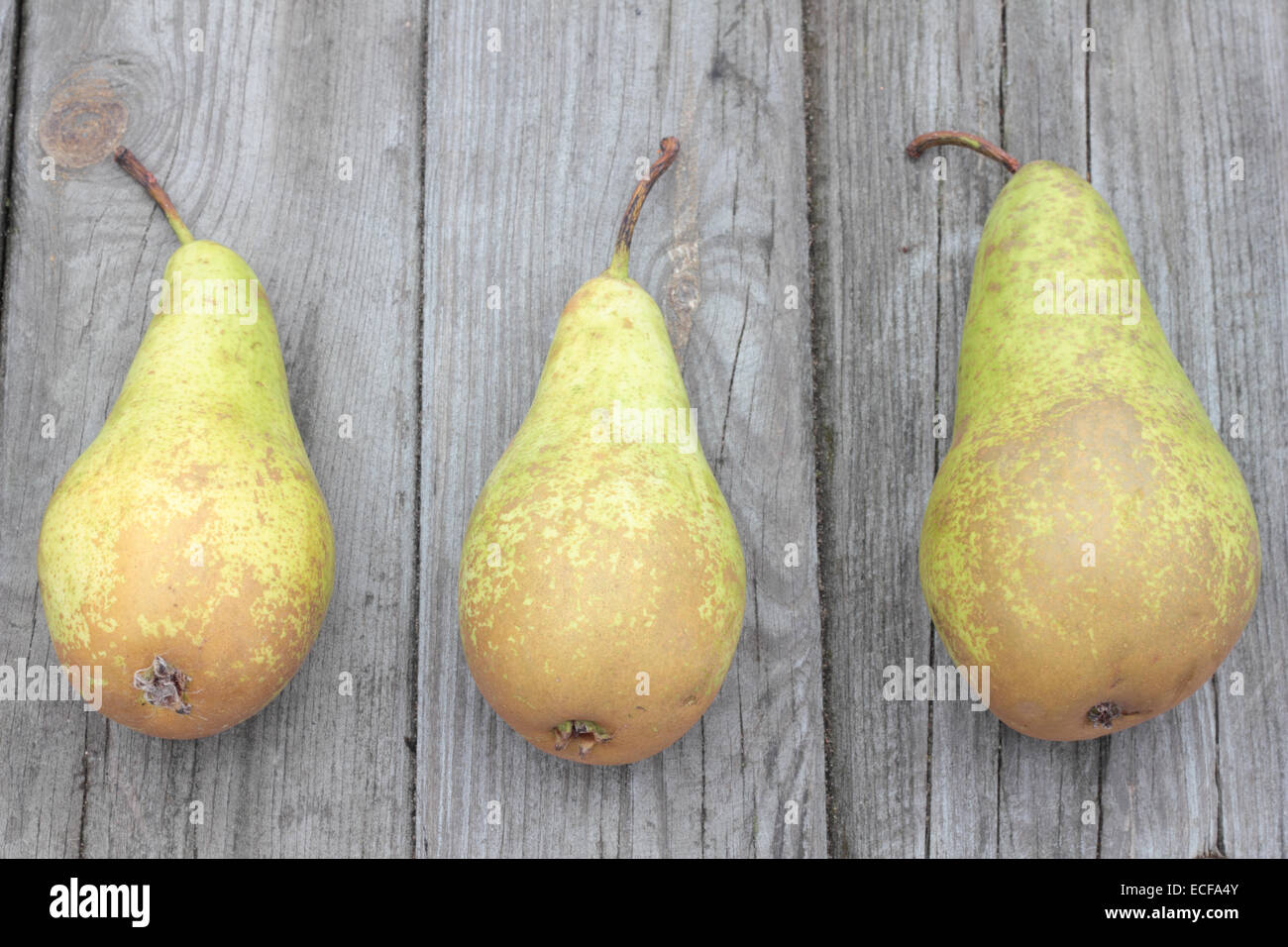 Three fresh pears on a timber planks Stock Photo - Alamy