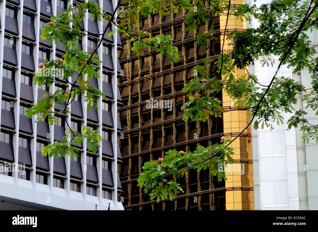 Abstract architectural facade and tree branches Stock Photo - Alamy