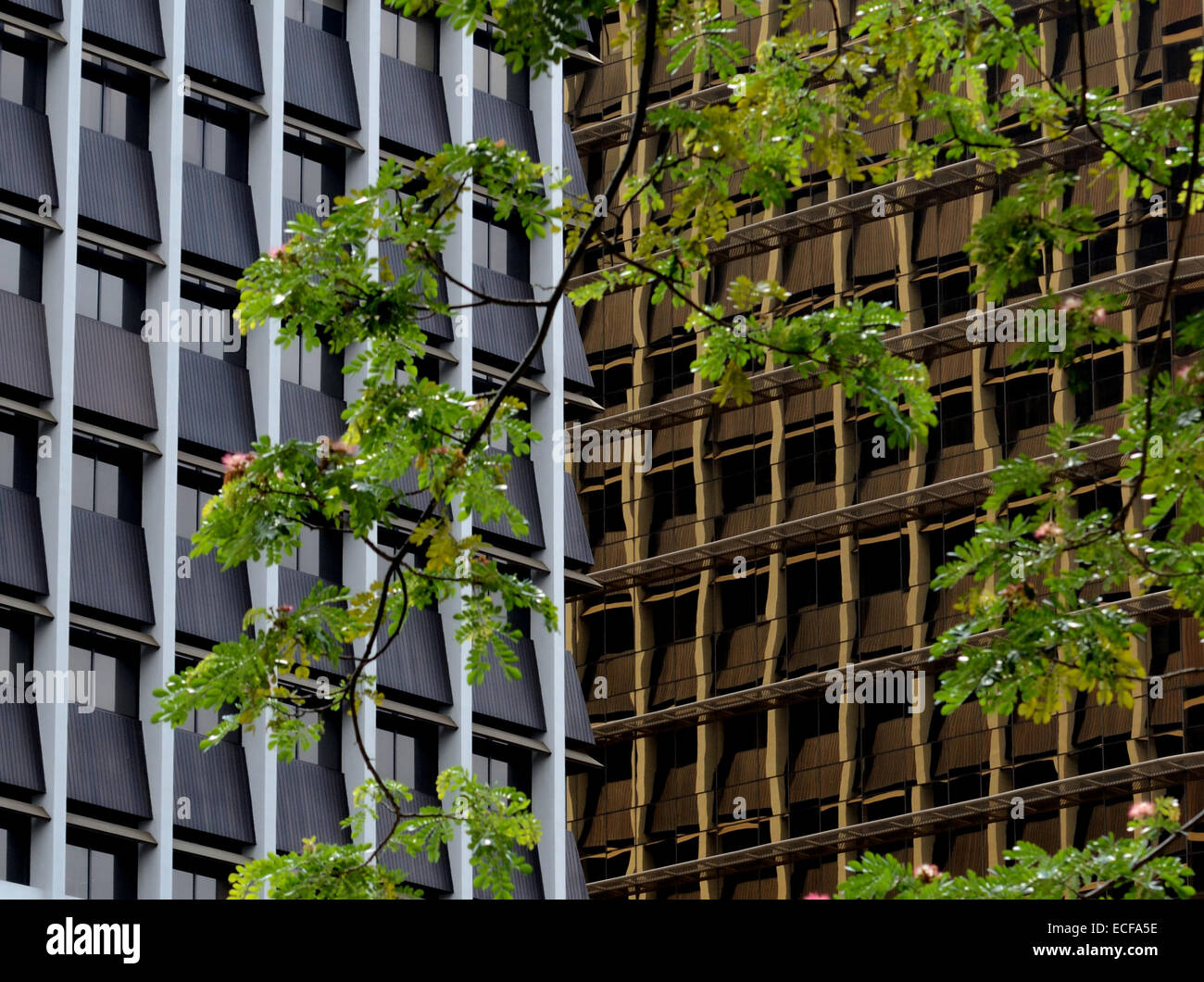 Abstract architectural facade and tree branches Stock Photo - Alamy