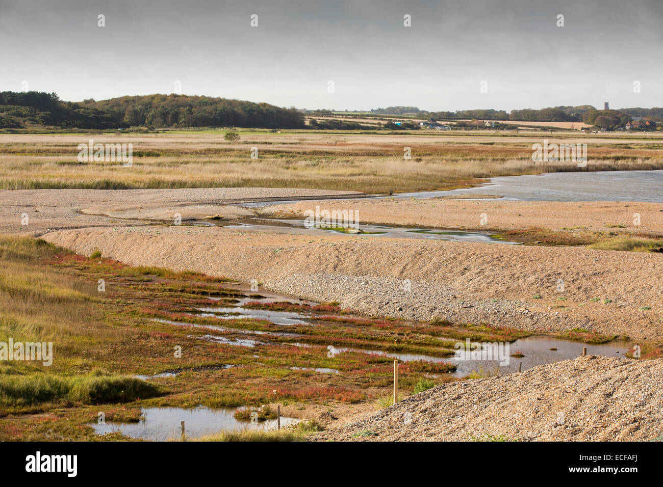 Damage caused to the coastal defences by the December 2013 storm surge ...