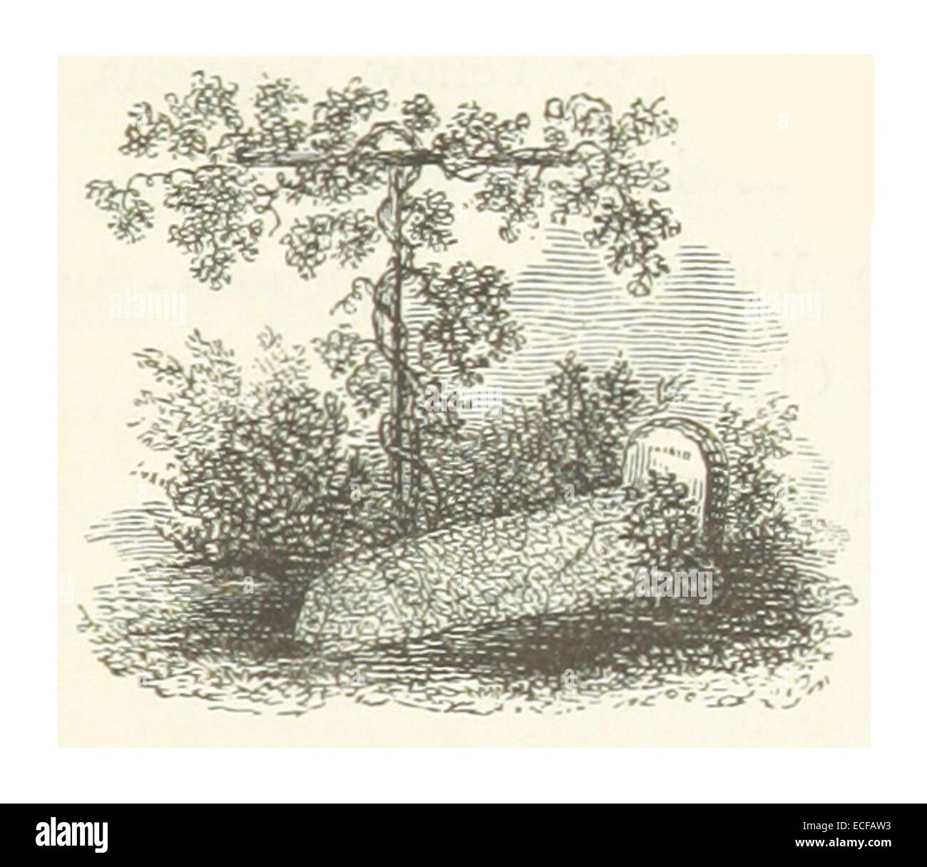 This 1844 illustration by LHC shows a simple grave, highlighting a ...