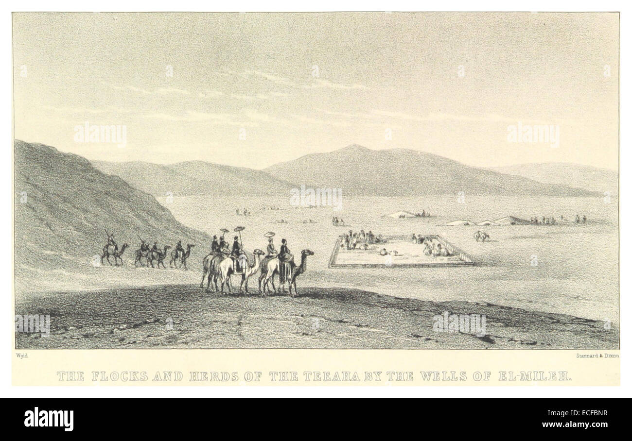 Lowth’s 1855 illustration depicts the flocks and herds of the Teaha ...