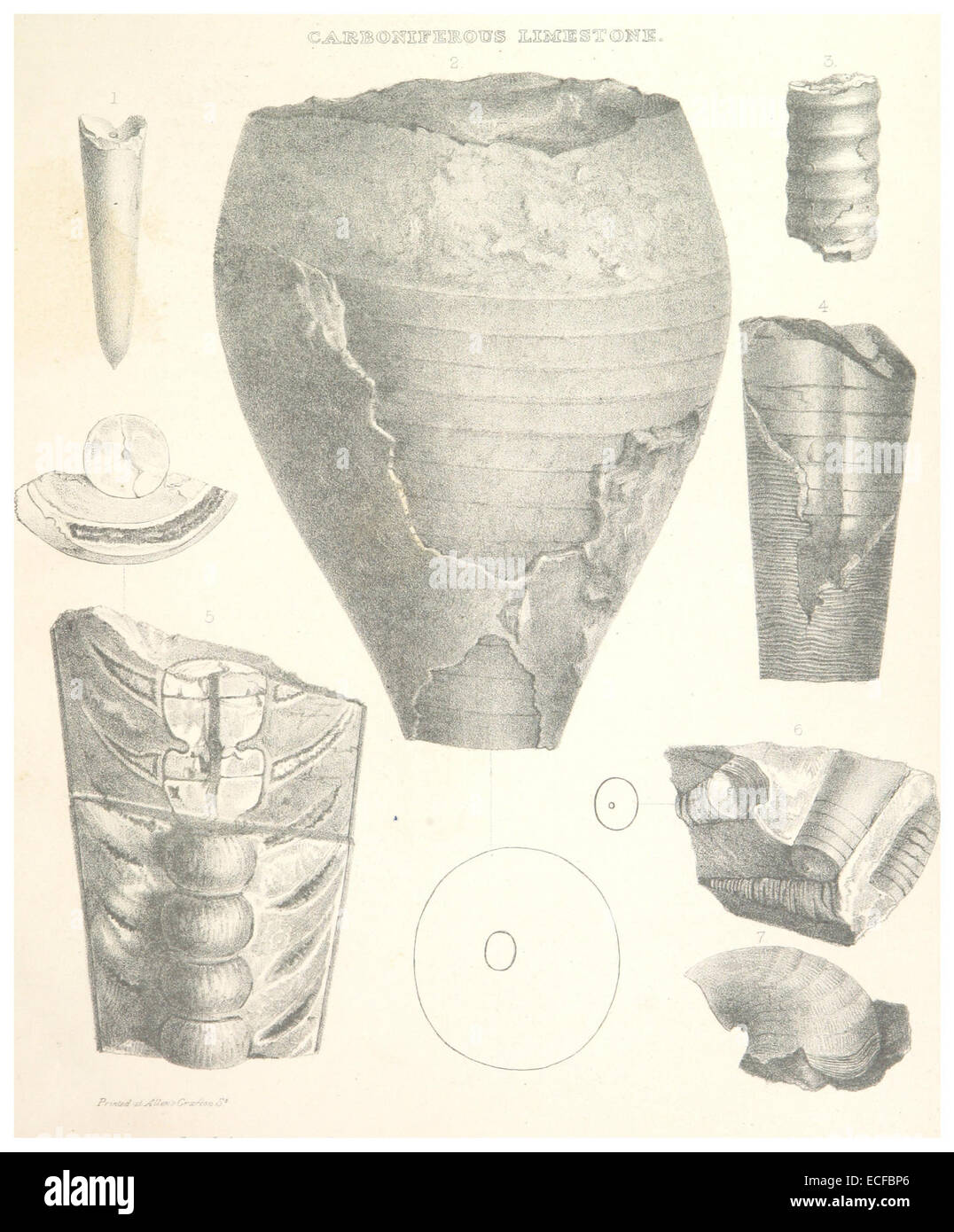 P283 hi-res stock photography and images - Alamy