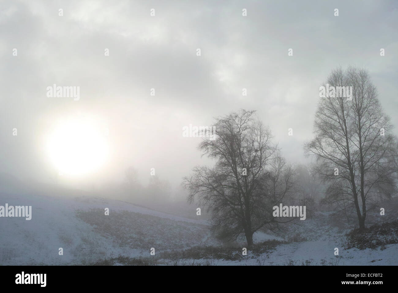 Winter Snow fall at Tarn Hows in the Cumbrian Mountains, near Coniston ...