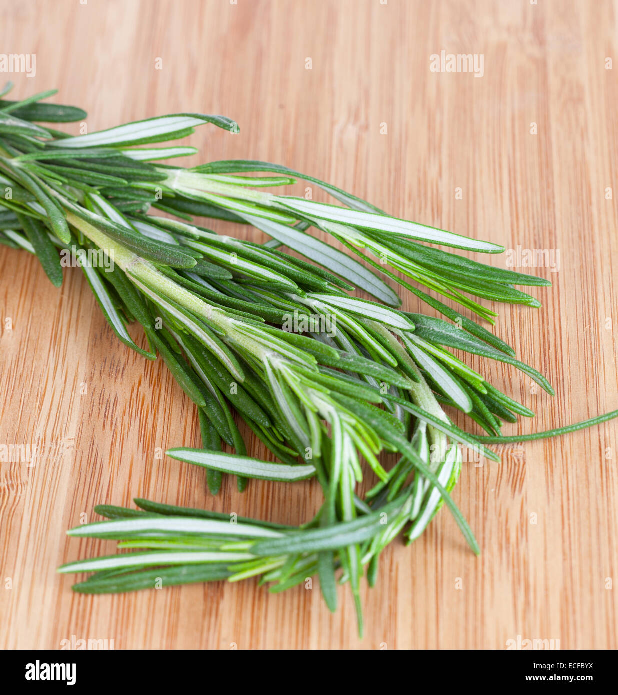 Rosemary branch on a chopping wooden board Stock Photo - Alamy