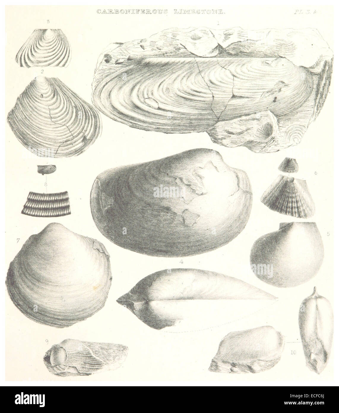 Mid victorian art Cut Out Stock Images & Pictures - Alamy