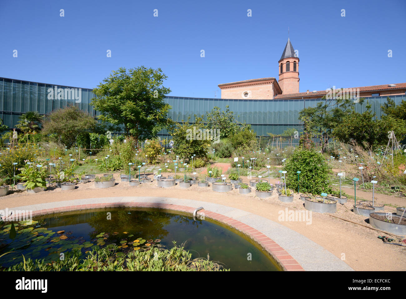 Botanical museum hi-res stock photography and images - Alamy