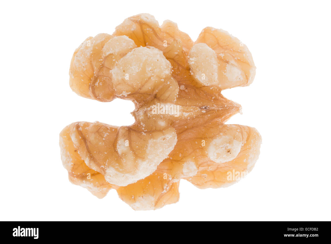 Single walnut on a white background, top view Stock Photo - Alamy