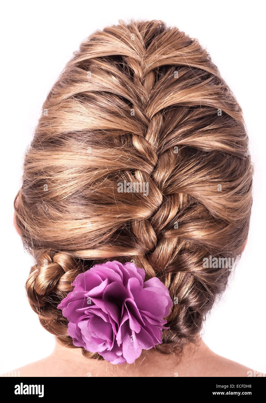 beauty wedding hairstyle rear view isolated on white Stock Photo - Alamy