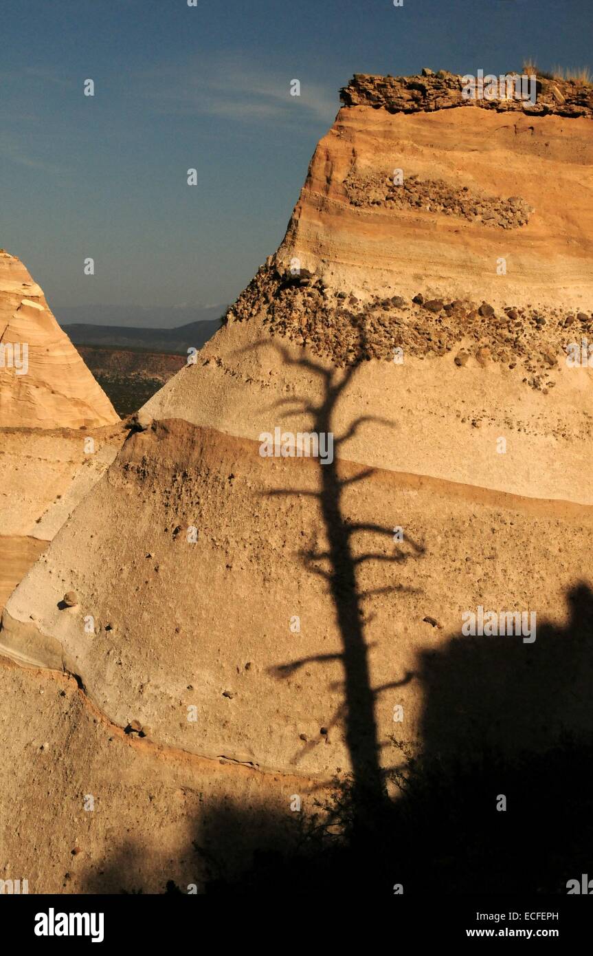 Tree shadow on compressed volcanic ash Kasha-Katuwe Tent Rocks New ...