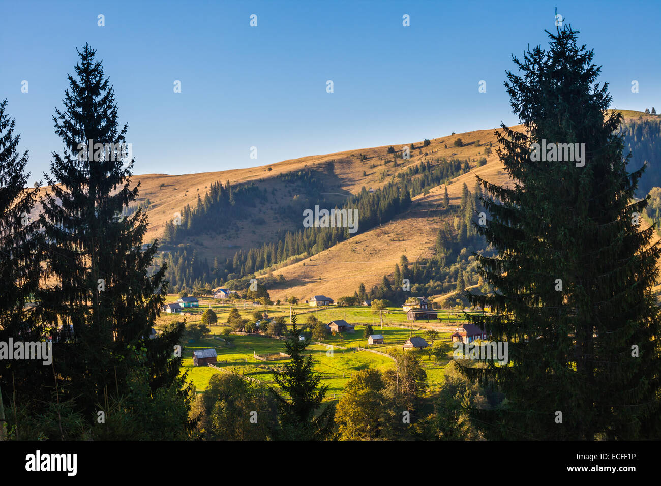 Beautiful nature of the mountains and hill in summer, ukraine Stock ...