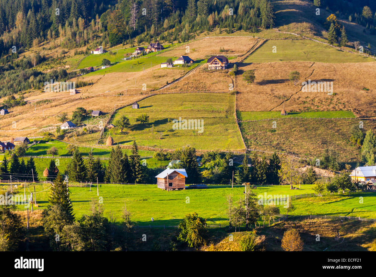 Beautiful nature of the mountains and hill in summer, ukraine Stock ...