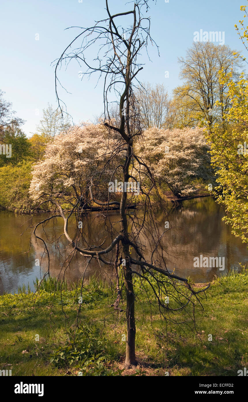 Tiergarten, Berlin, Germany Stock Photo - Alamy