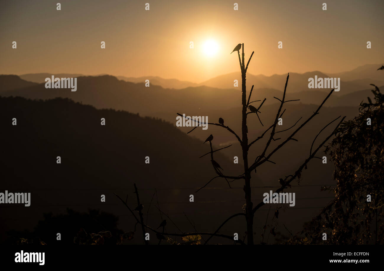 Beautiful sunrise silhouette Stock Photo - Alamy