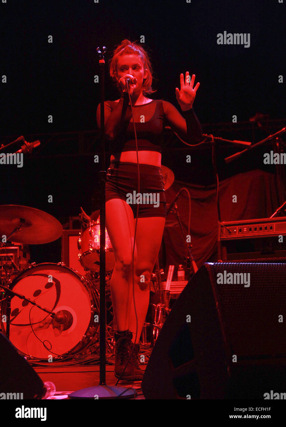 Las Vegas, Nevada, USA. 12th Dec, 2014. Indie rock singer MEG MYERS ...