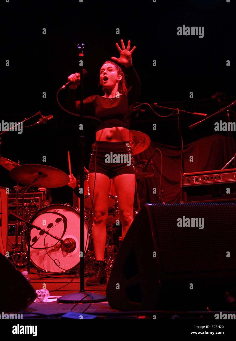 Las Vegas, Nevada, USA. 12th Dec, 2014. Indie rock singer MEG MYERS ...