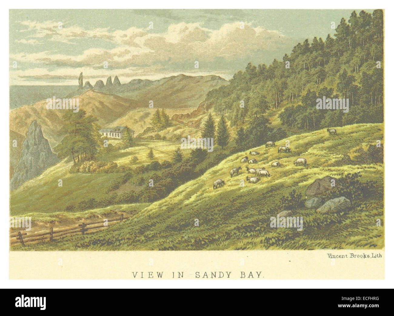 Sandy bay map Cut Out Stock Images & Pictures - Alamy