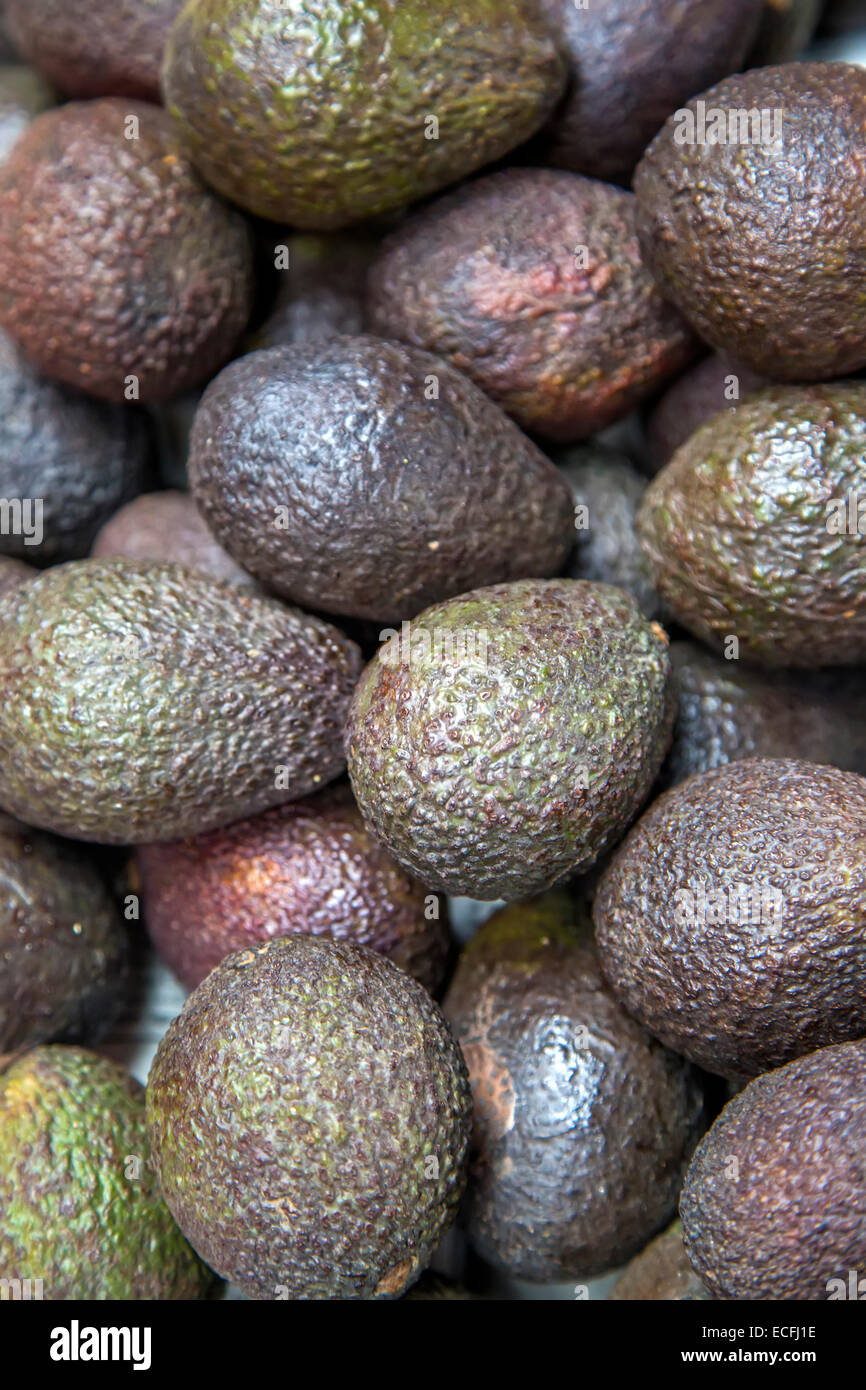 Avocados on the market in Agadir, Morocco Stock Photo - Alamy