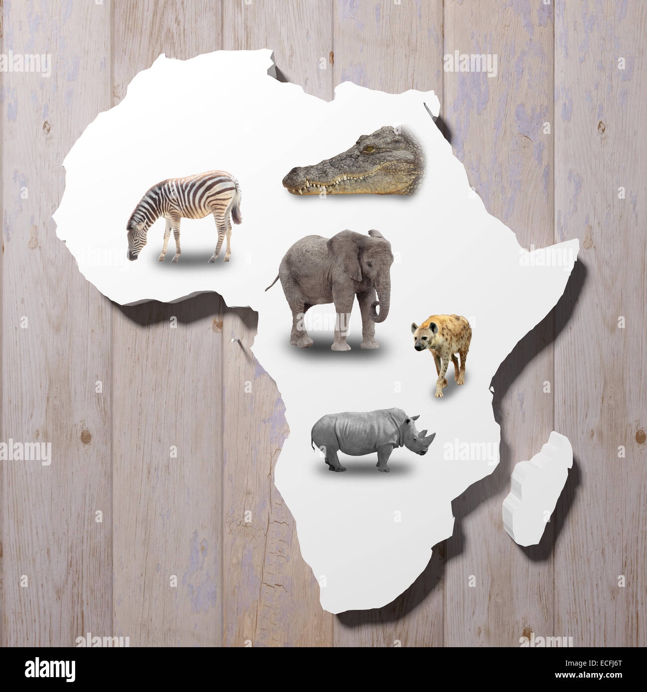 3d rendering of an african map with some animals Stock Photo - Alamy