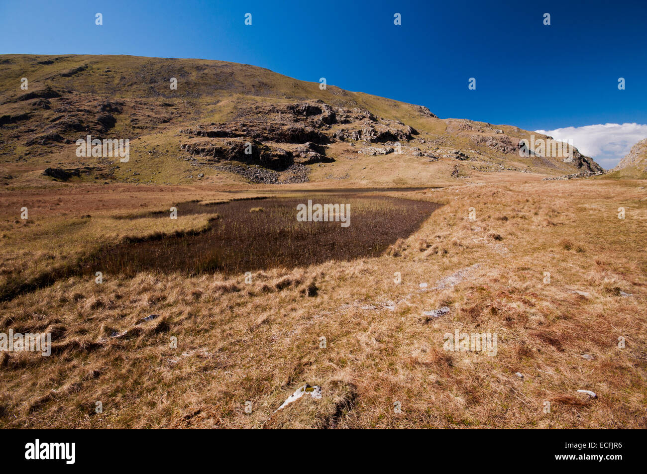 Dalehead Tarn, a prominent feature on the slopes of the mountain in the ...