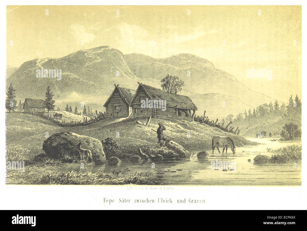 MORITZ(1853) p217 FEPE SC384TER Stock Photo - Alamy